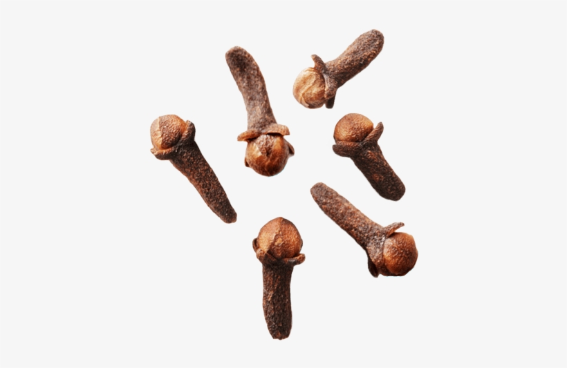Cloves - Cloves Png PNG Image | Transparent PNG Free Download on SeekPNG