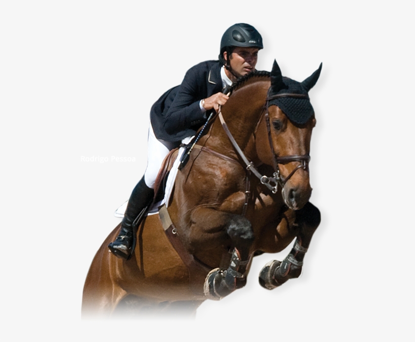 Rider - Horse And Rider PNG Image | Transparent PNG Free Download on ...