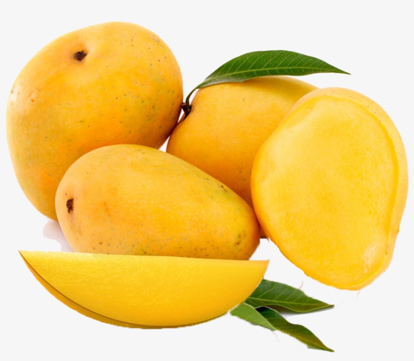 Alphonso Mango PNG Image | Transparent PNG Free Download on SeekPNG