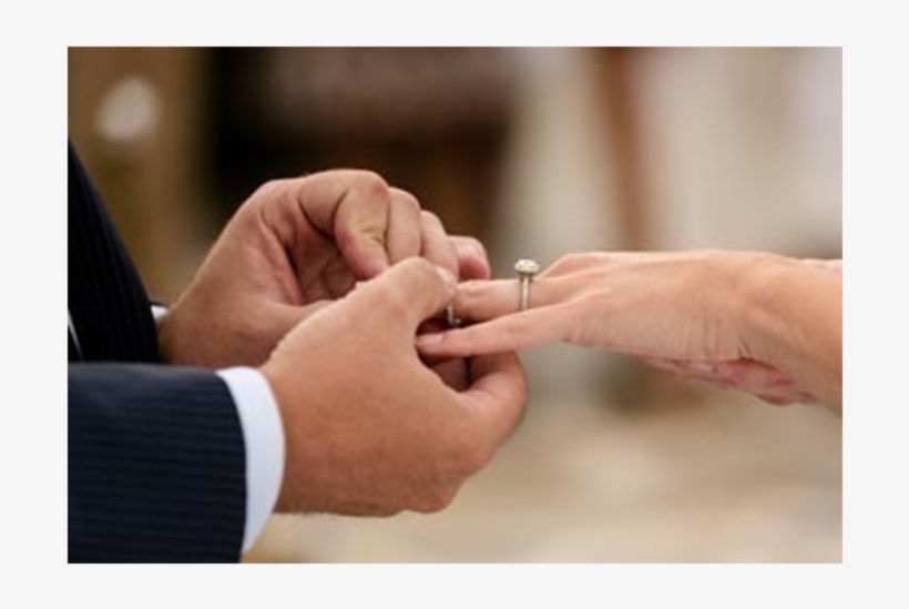 Wedding PNG Image | Transparent PNG Free Download on SeekPNG
