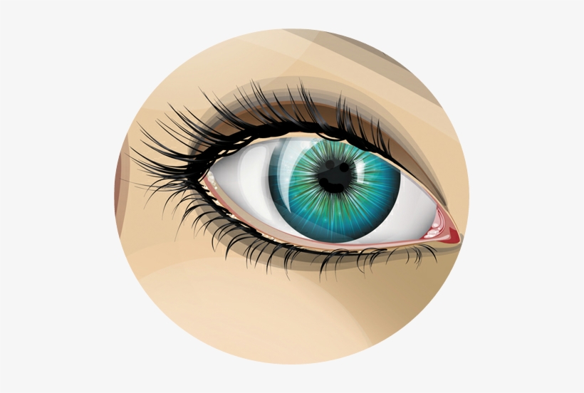Eye Vector Eyeart Eyelashes Pupil Blueeyes - Vector Graphics PNG Image ...