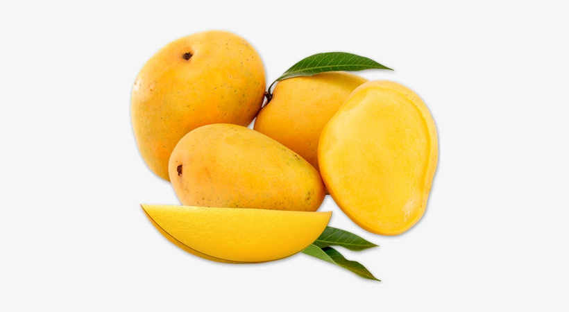 Mango - Fresh Alphonso Mangoes PNG Image | Transparent PNG Free ...