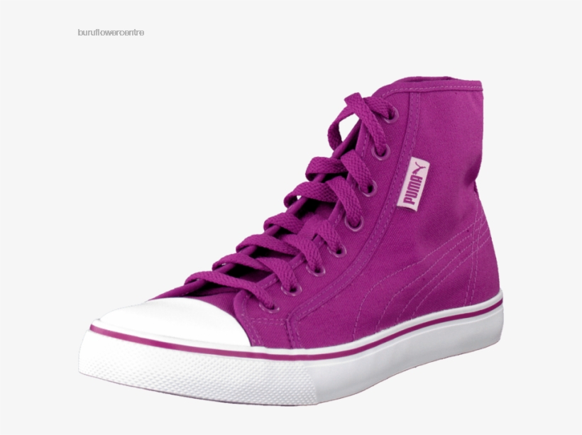 Puma PNG Image | Transparent PNG Free Download on SeekPNG