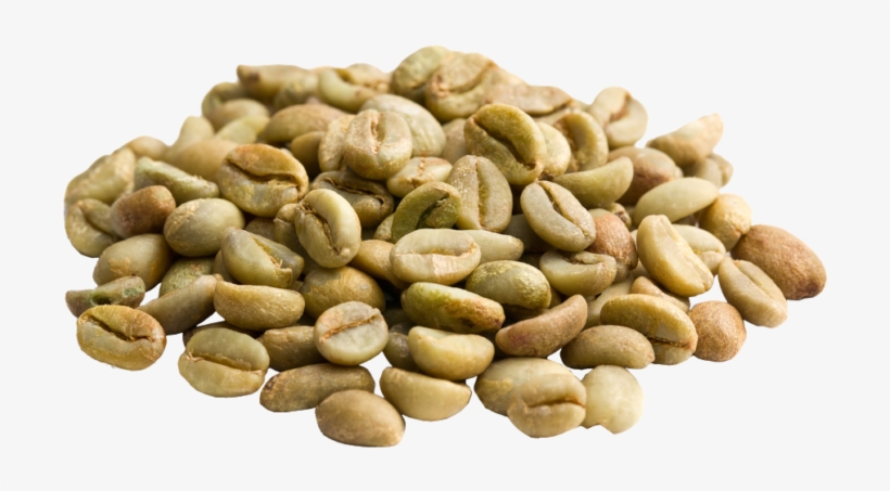 Coffee Beans - Green Coffee Beans No Background PNG Image | Transparent ...