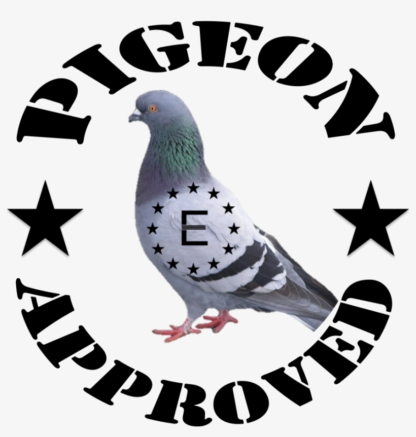 Pigeon Approved - Pigeon God PNG Image | Transparent PNG Free Download ...