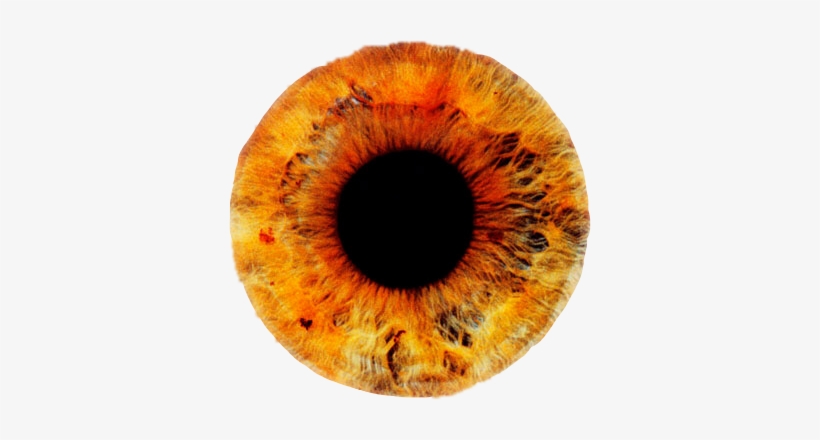 Download Yellow Red Orange Eye Lens Contactlens Honey Fire Sun - Ice ...