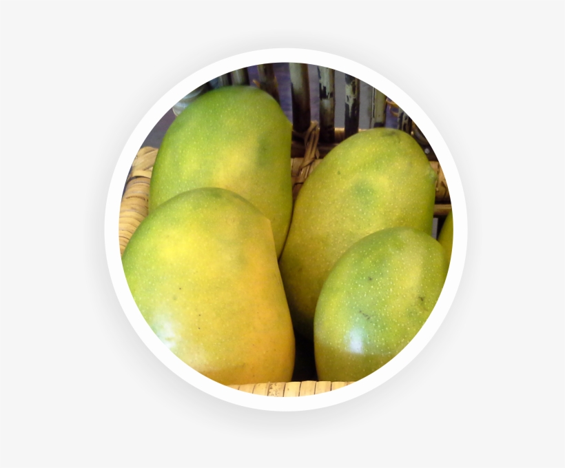 Kesar Mango - Mango PNG Image | Transparent PNG Free Download on SeekPNG