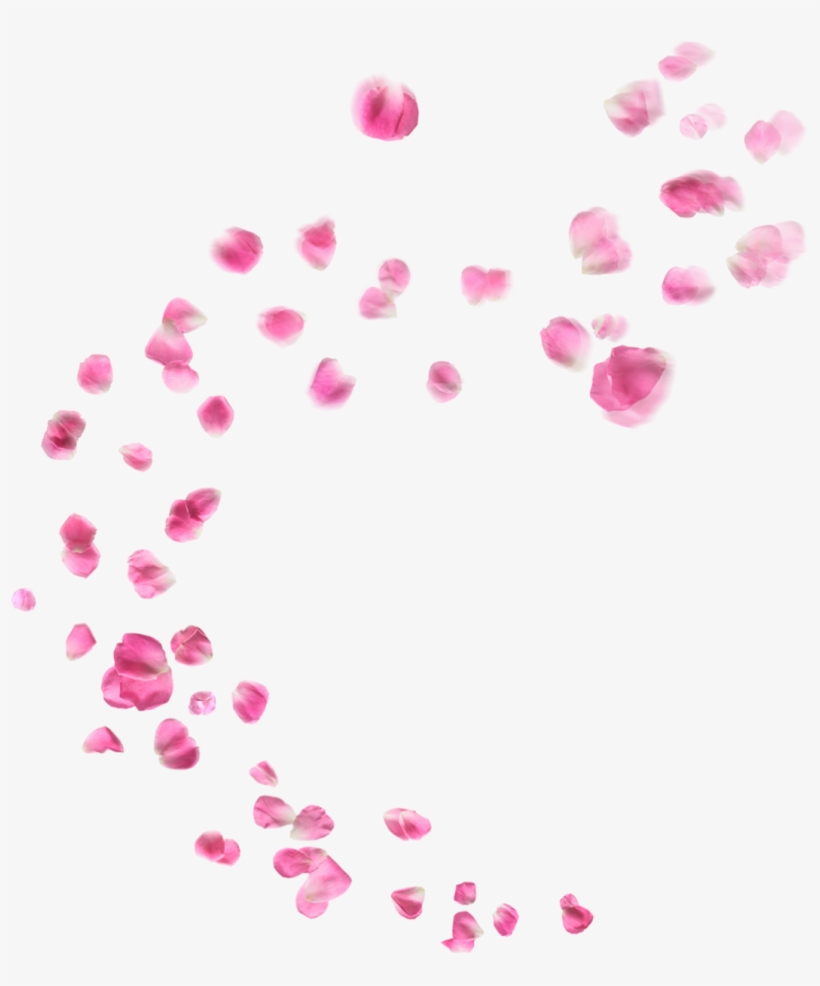 Must Follow N Share - Hd Heart Editing Png PNG Image | Transparent PNG ...