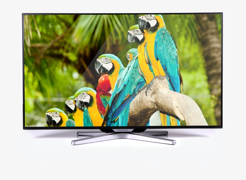 42 Inch Smart Full Hd Led Tv - Decorative Standard Pillow Case Animals ...