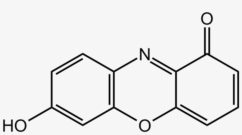 Neutral 7-hydroxyphenoxazone - Paper Chemical Structure PNG Image ...