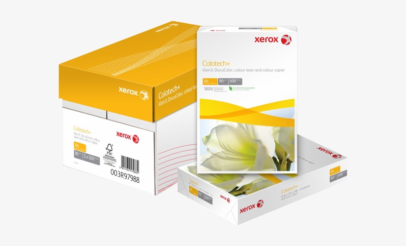 Xerox Paper PNG Image | Transparent PNG Free Download on SeekPNG