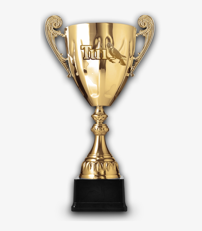 Leaderboard - Trophy On White Background PNG Image | Transparent PNG ...