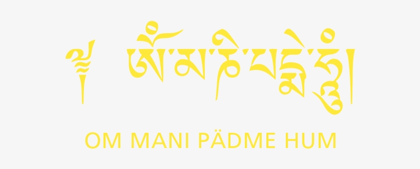 The Syllable Om Indicates One's Intention To Cultivate - Bumper Sticker ...