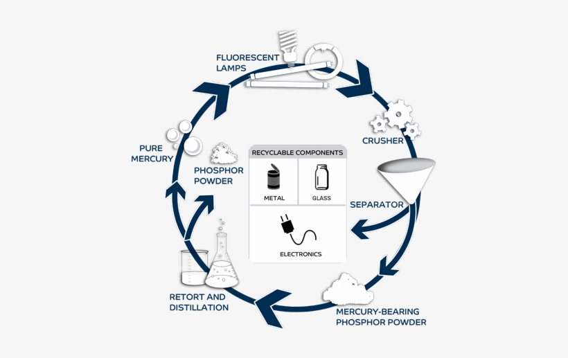 The Recycling Process Of A Mercury-containing Bulb - Light Bulb ...