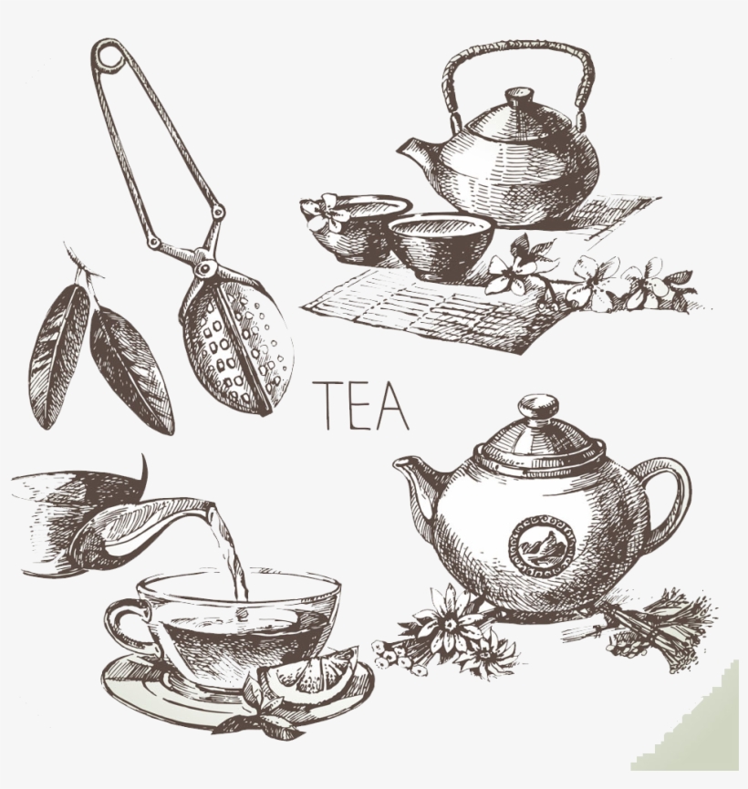 Green Tea Drawing Sketch - Green Tea Drawing PNG Image | Transparent ...