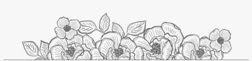 Flower Bottom Border Png