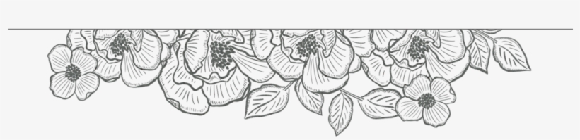 Download Flower Border - Line Art | Transparent PNG Download | SeekPNG
