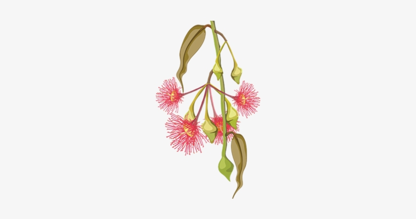 What We Do - Vector Graphics PNG Image | Transparent PNG Free Download ...