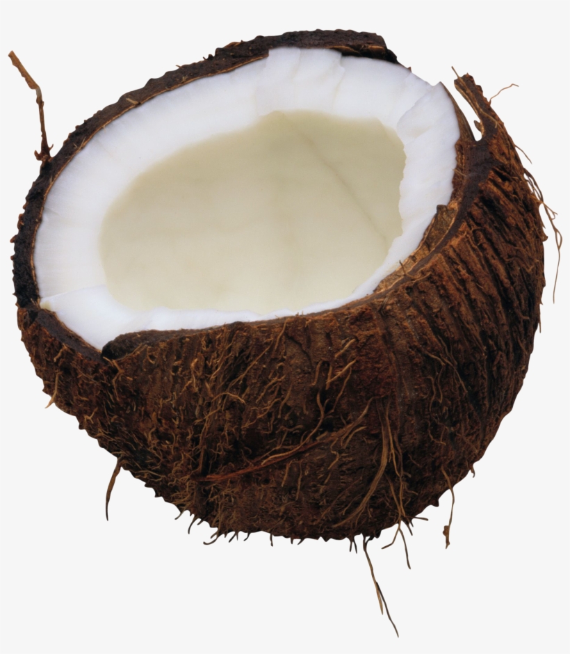 Coconut Png Image - Coconut Png For Photoshop PNG Image | Transparent ...
