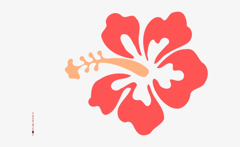 12 - Hawaiian Flower Vector Png PNG Image | Transparent PNG Free ...
