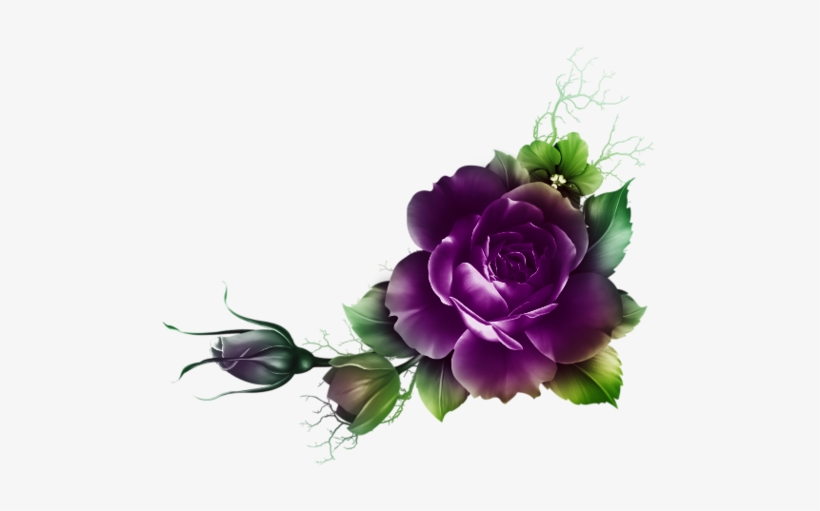 Purple Roses Border