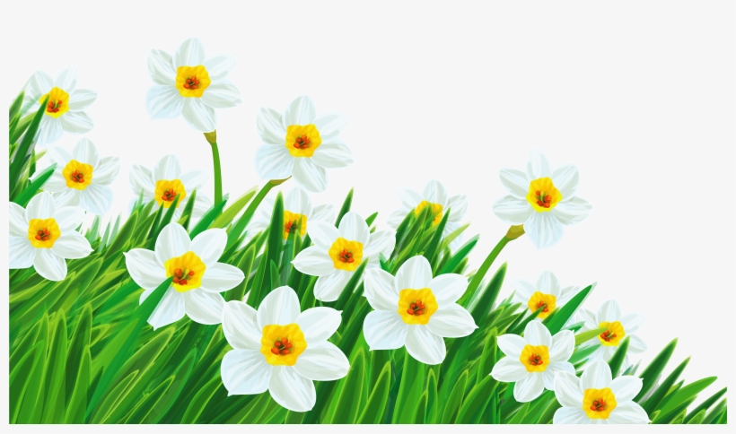 Spring - Spring Flowers No Background PNG Image | Transparent PNG Free ...