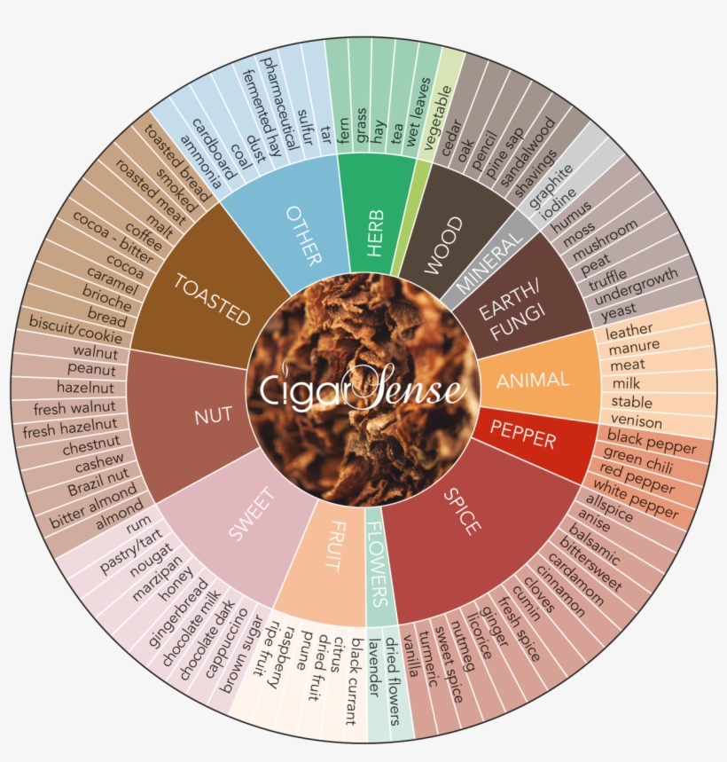 Image - Cigar Taste Wheel PNG Image | Transparent PNG Free Download on ...