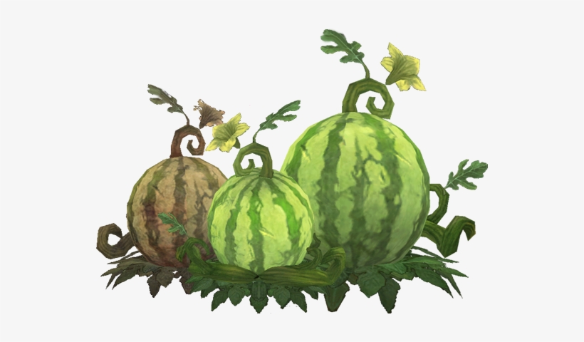 Download Transparent Leaves Watermelon - Watermelon Patch Clipart ...