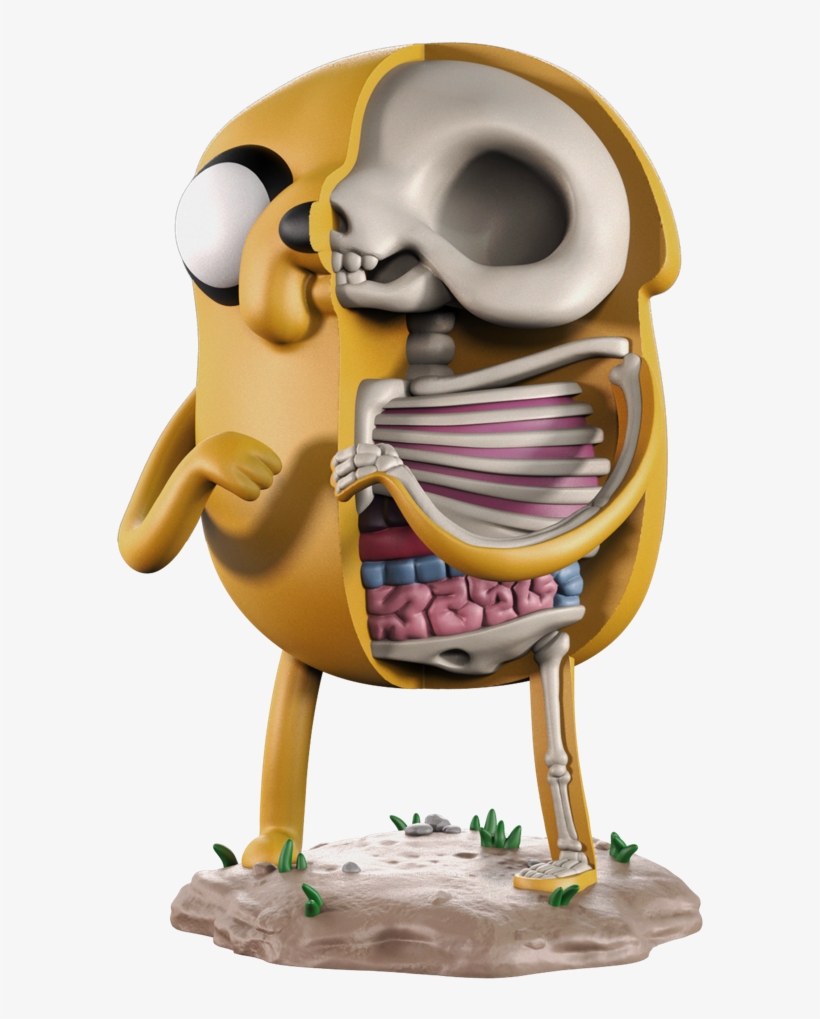 Jake And Finn Skeleton PNG Image | Transparent PNG Free Download on SeekPNG