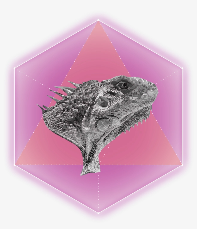 Download Lizard Hexagon Rosa - Emblem | Transparent PNG Download | SeekPNG