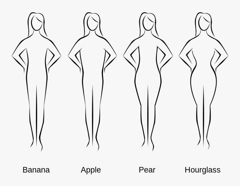 File - Bodyshapes - Svg - Different Types Of Body Curves PNG Image ...