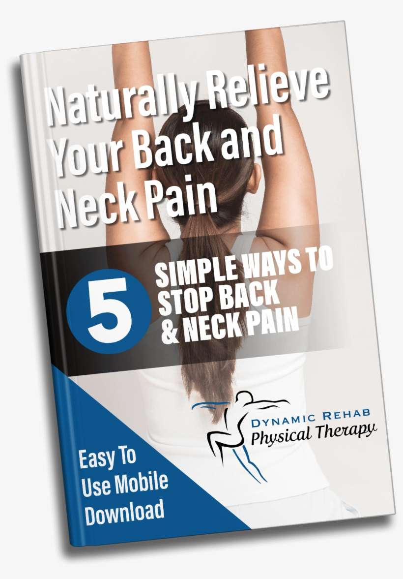 Primus 1000 Manual Ebook Rh Primus 1000 Manual Ebook - Dynamic Rehab ...