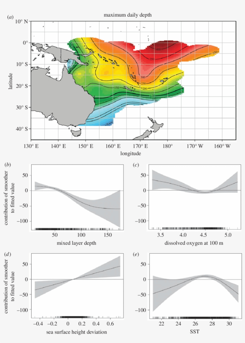 A) Maximum Daily Depth By I. Indica. Tag Observations - Paper PNG Image ...