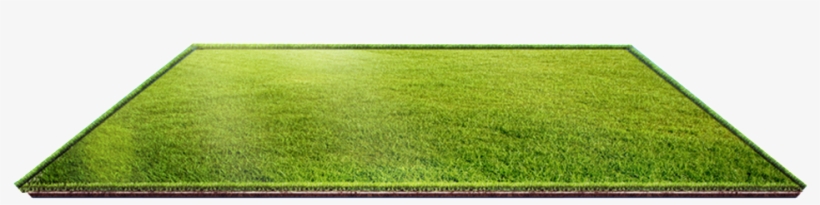 Download Square Grass Transparent - Lawn | Transparent PNG Download ...