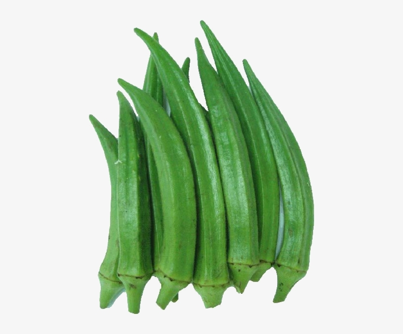 Lady Finger - Ladies Finger PNG Image | Transparent PNG Free Download ...