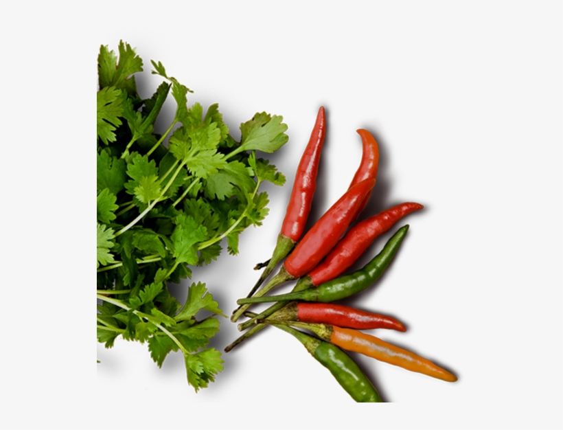 Main Menu - Chopped Chilli Transparent Background PNG Image ...