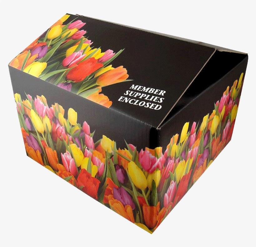 Creative Shipping Box Designs For Your Company - Custom Shipping Boxes ...