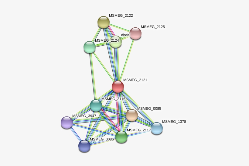 Network - Diagram PNG Image | Transparent PNG Free Download on SeekPNG