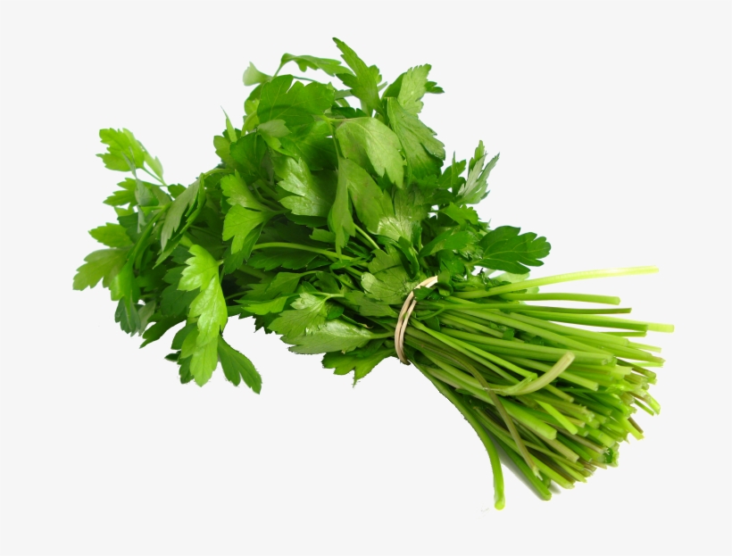 2 Bay Leaves - Persil Frais PNG Image | Transparent PNG Free Download ...