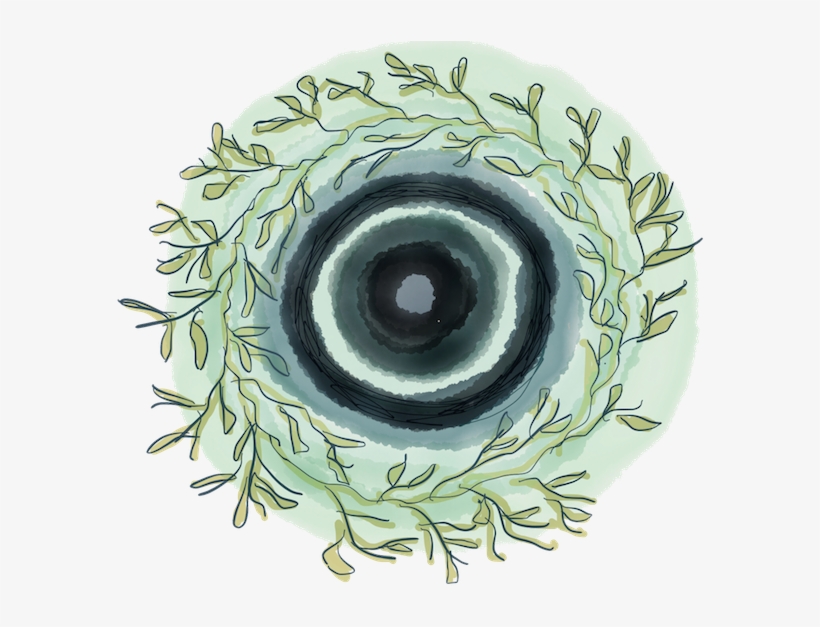 Digital Mandala Leaves Blank Background Low Res - Circle PNG Image ...