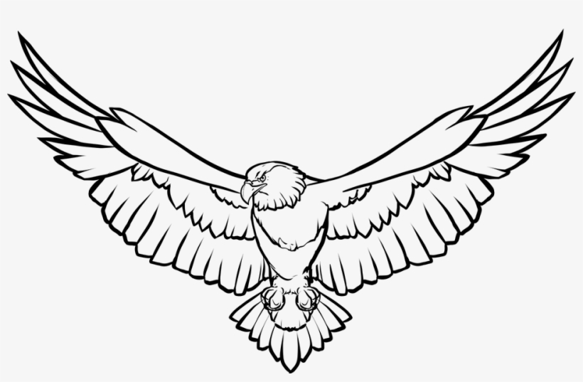 Free Picture - Soaring Eagle Line Art PNG Image | Transparent PNG Free ...
