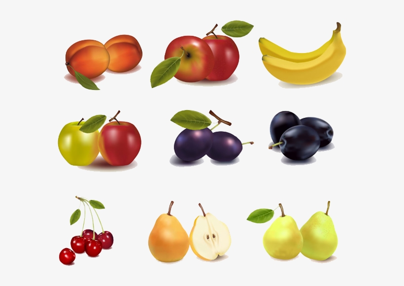 Visit - Fruit Vector PNG Image | Transparent PNG Free Download on SeekPNG