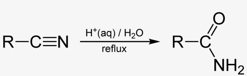 Nitrile Hydrolysis Summary - Ammonium Acetate Lewis Structure PNG Image ...