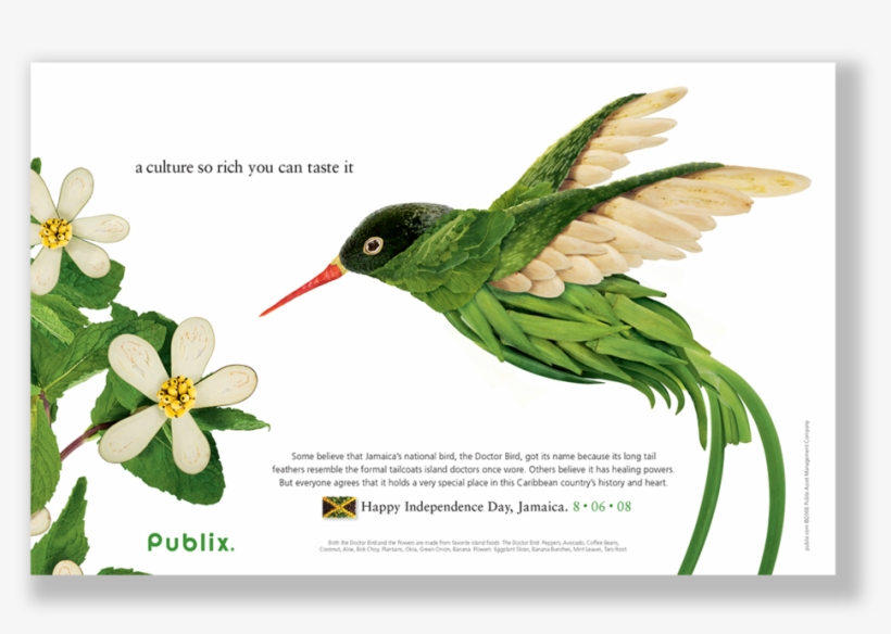 Publix Caribbean Bird Ad PNG Image | Transparent PNG Free Download on ...