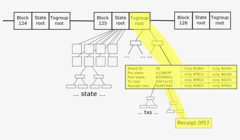 What Are Ethereum Nodes And Sharding - Ethereum Plasma PNG Image ...