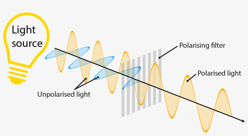 Linear Polarized 3d Glasses And The Physical Shape - Light Polarization ...