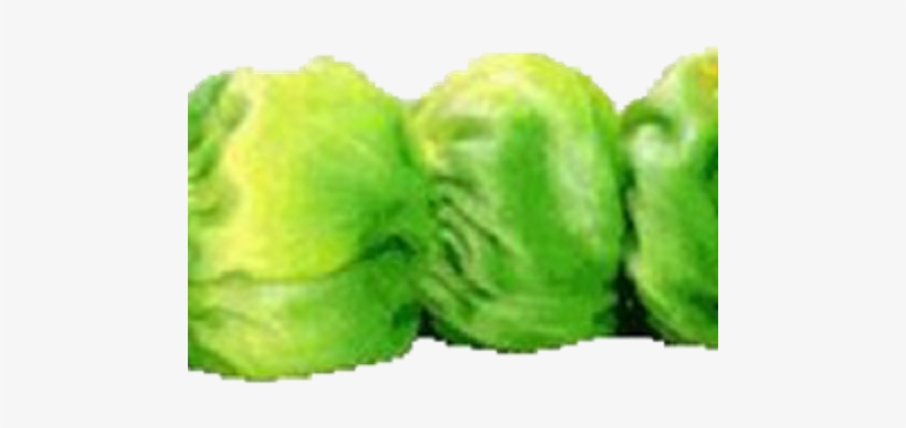 Worm Teddy PNG Image | Transparent PNG Free Download on SeekPNG