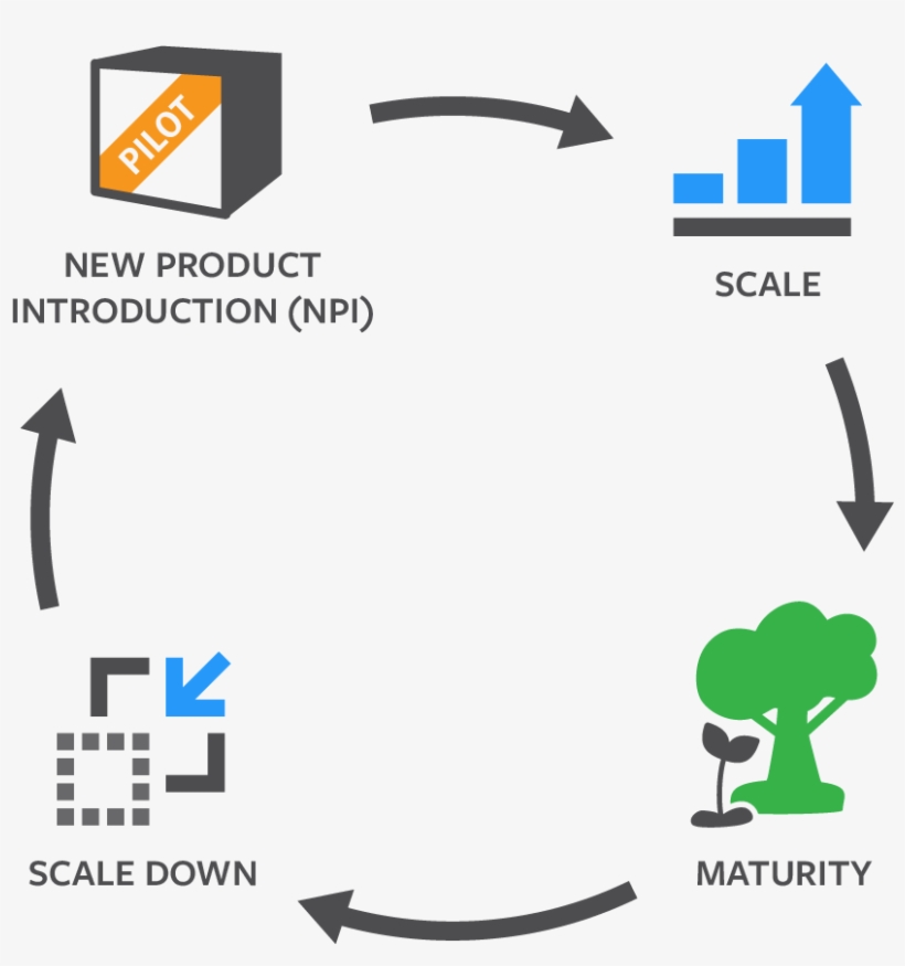 Product Life Cycle PNG Image | Transparent PNG Free Download on SeekPNG
