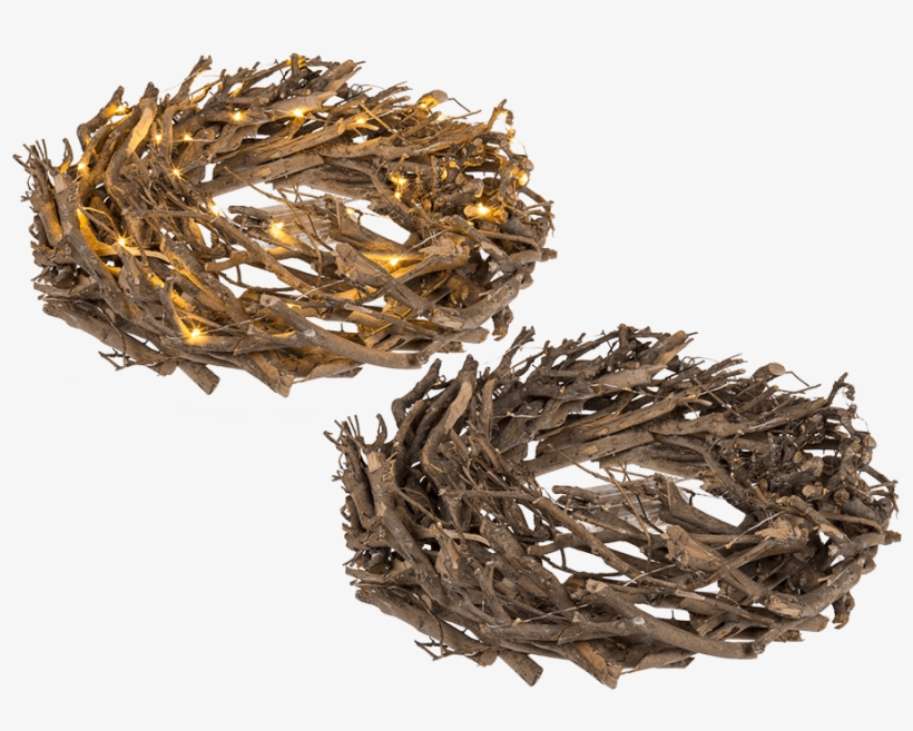 Light-emitting Diode PNG Image | Transparent PNG Free Download on SeekPNG