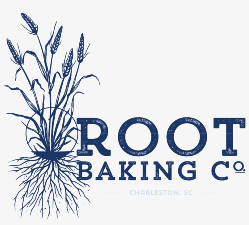 Root Logo PNG Image | Transparent PNG Free Download on SeekPNG